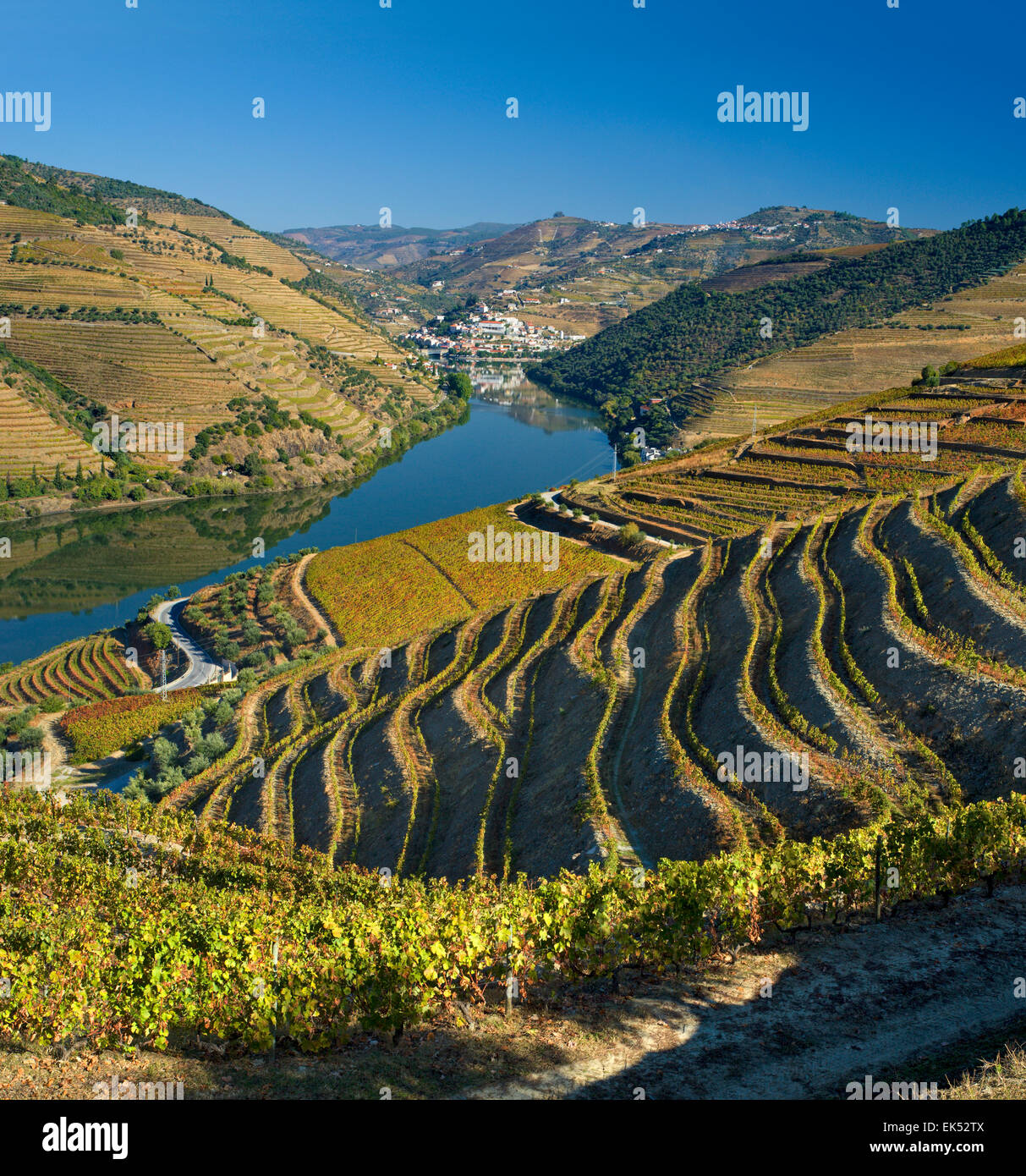 Portugal, the Alto Douro, the Douro Valley, with Pinhao in the distance ...