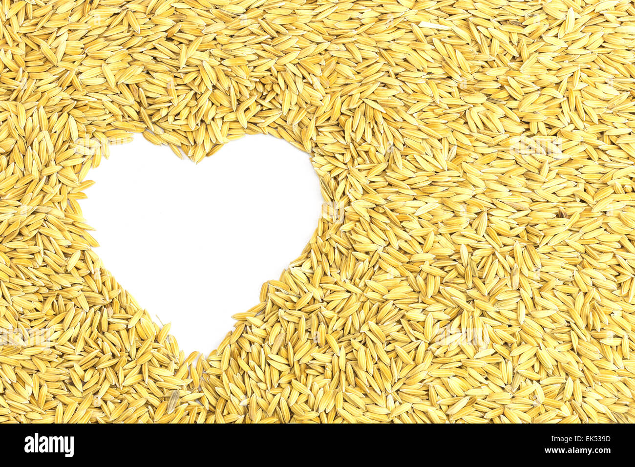 Yellow paddy jasmine rice isolated on white background Stock Photo - Alamy