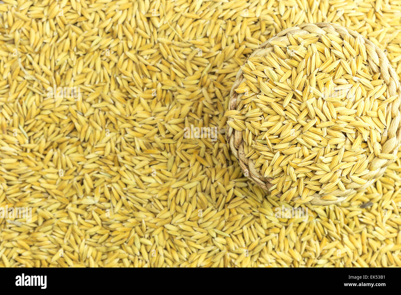 Yellow paddy jasmine rice for background Stock Photo - Alamy