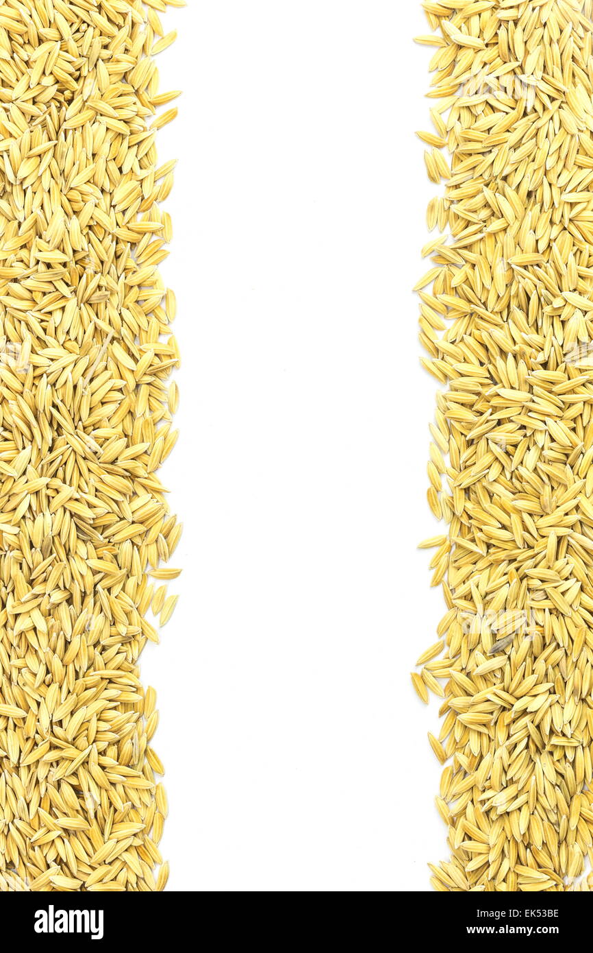 Yellow paddy jasmine rice isolated on white background Stock Photo - Alamy