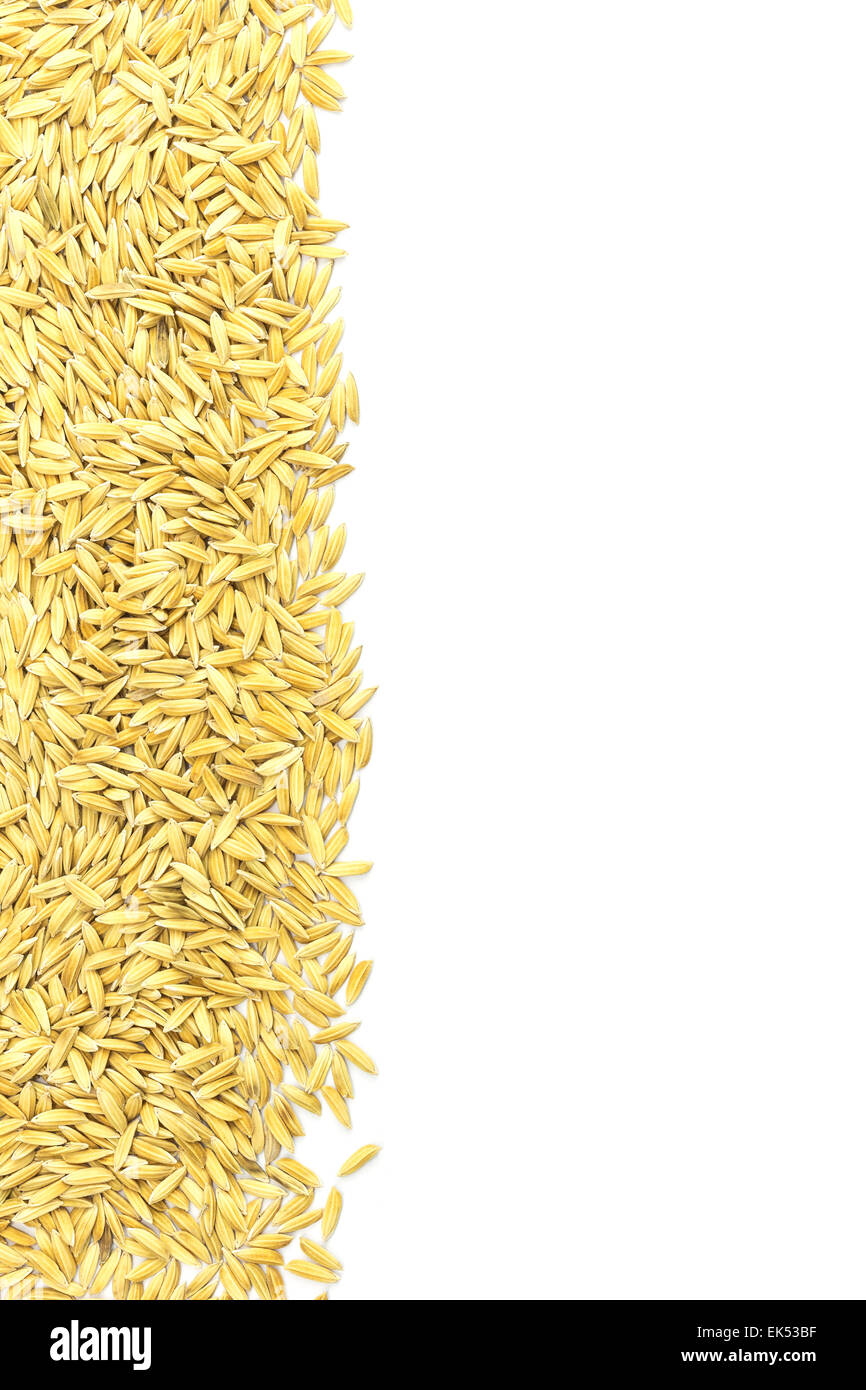 Yellow paddy jasmine rice isolated on white background Stock Photo - Alamy