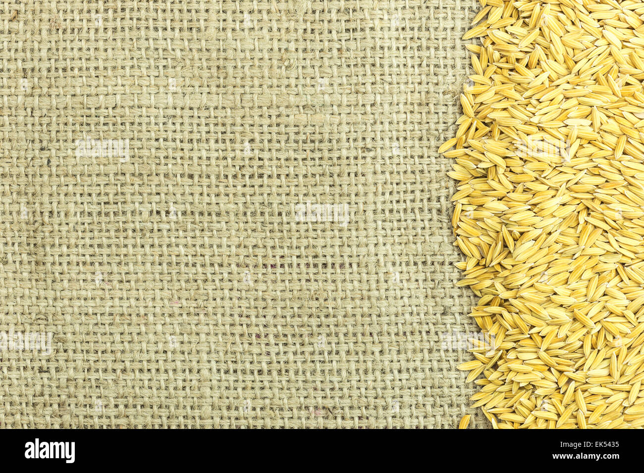 Yellow paddy jasmine rice on old crumpled burlap background Stock Photo ...