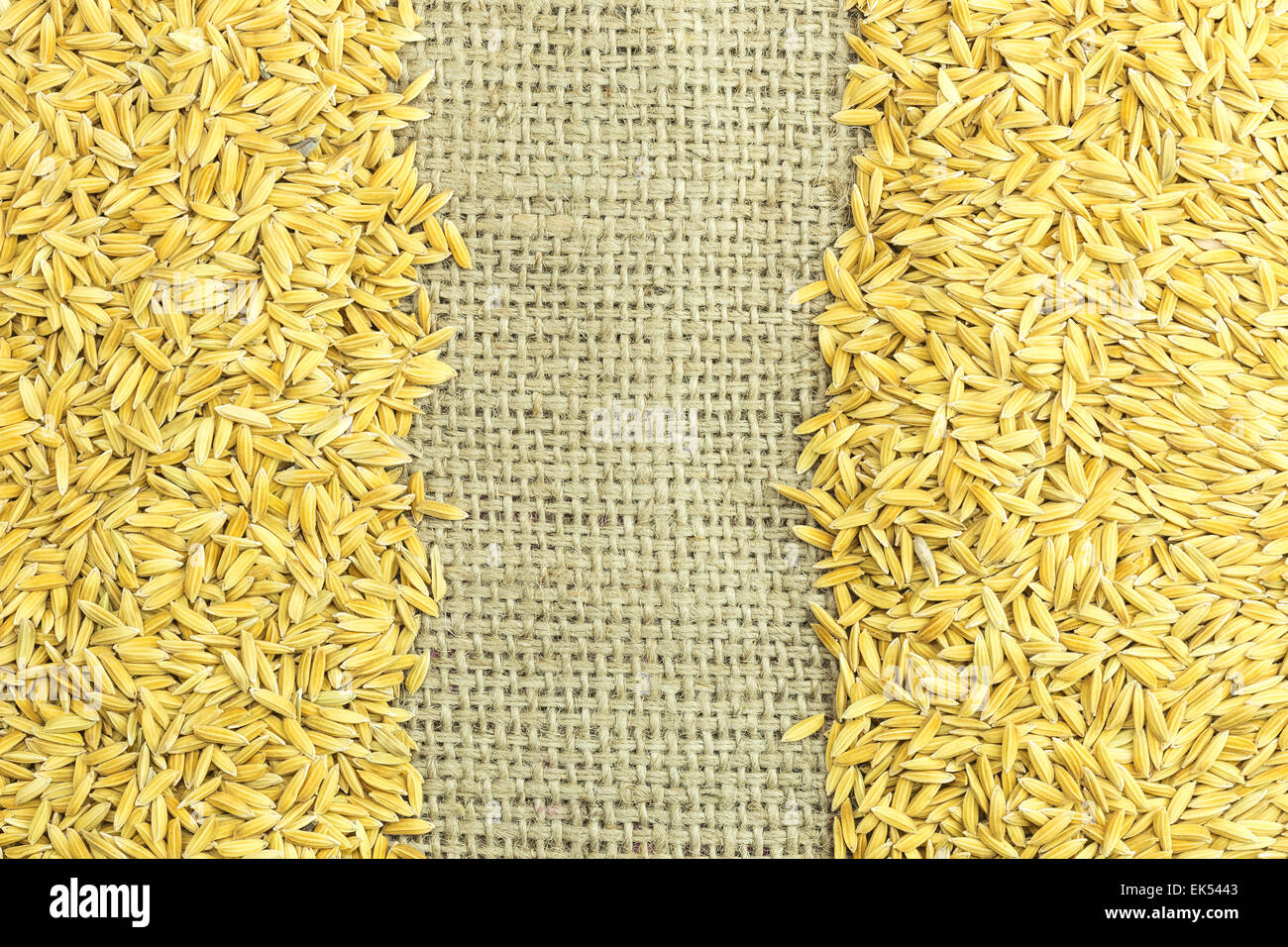 Yellow paddy jasmine rice on old crumpled burlap background Stock Photo ...