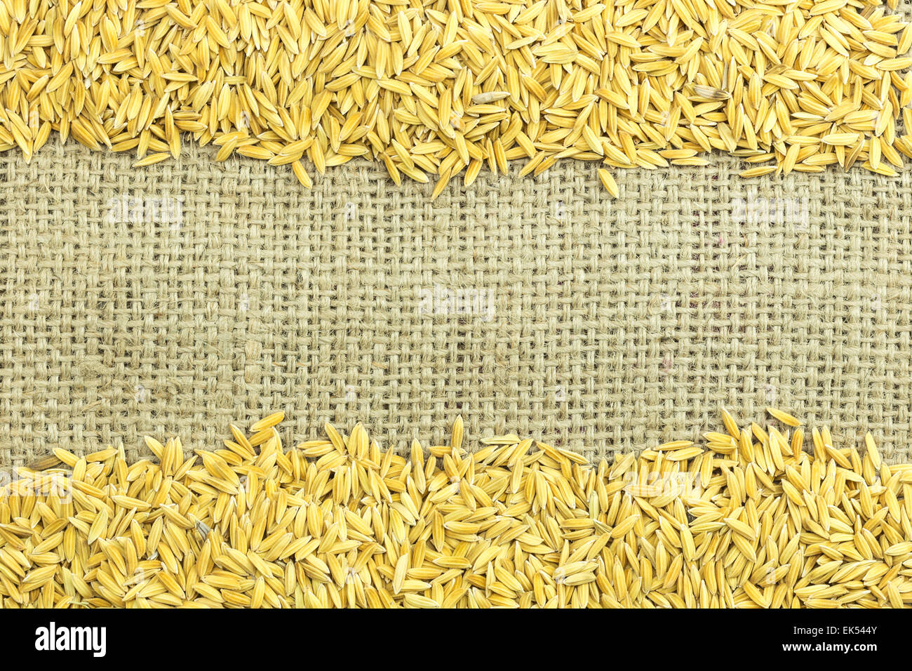 Yellow paddy jasmine rice on old crumpled burlap background Stock Photo ...