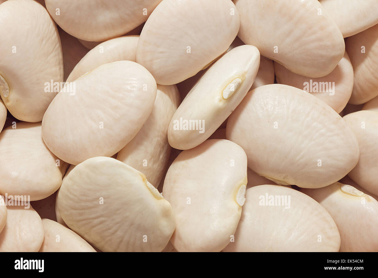 Lima beans hi-res stock photography and images - Alamy