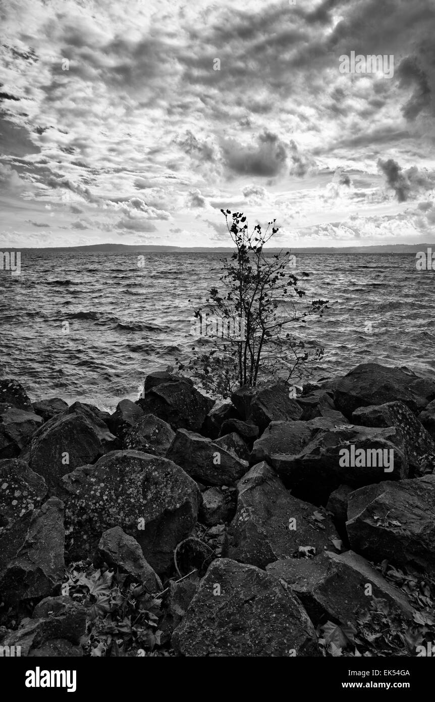 Italy, Bracciano lake, Trevignano (Rome), view of the volcanic lake ...