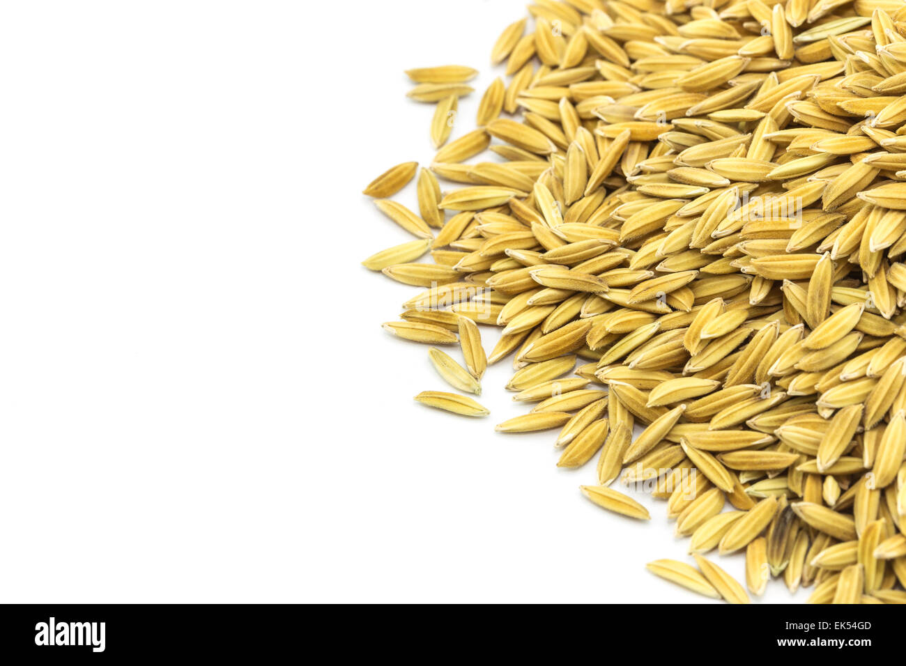 Yellow paddy jasmine rice isolated on white background Stock Photo - Alamy