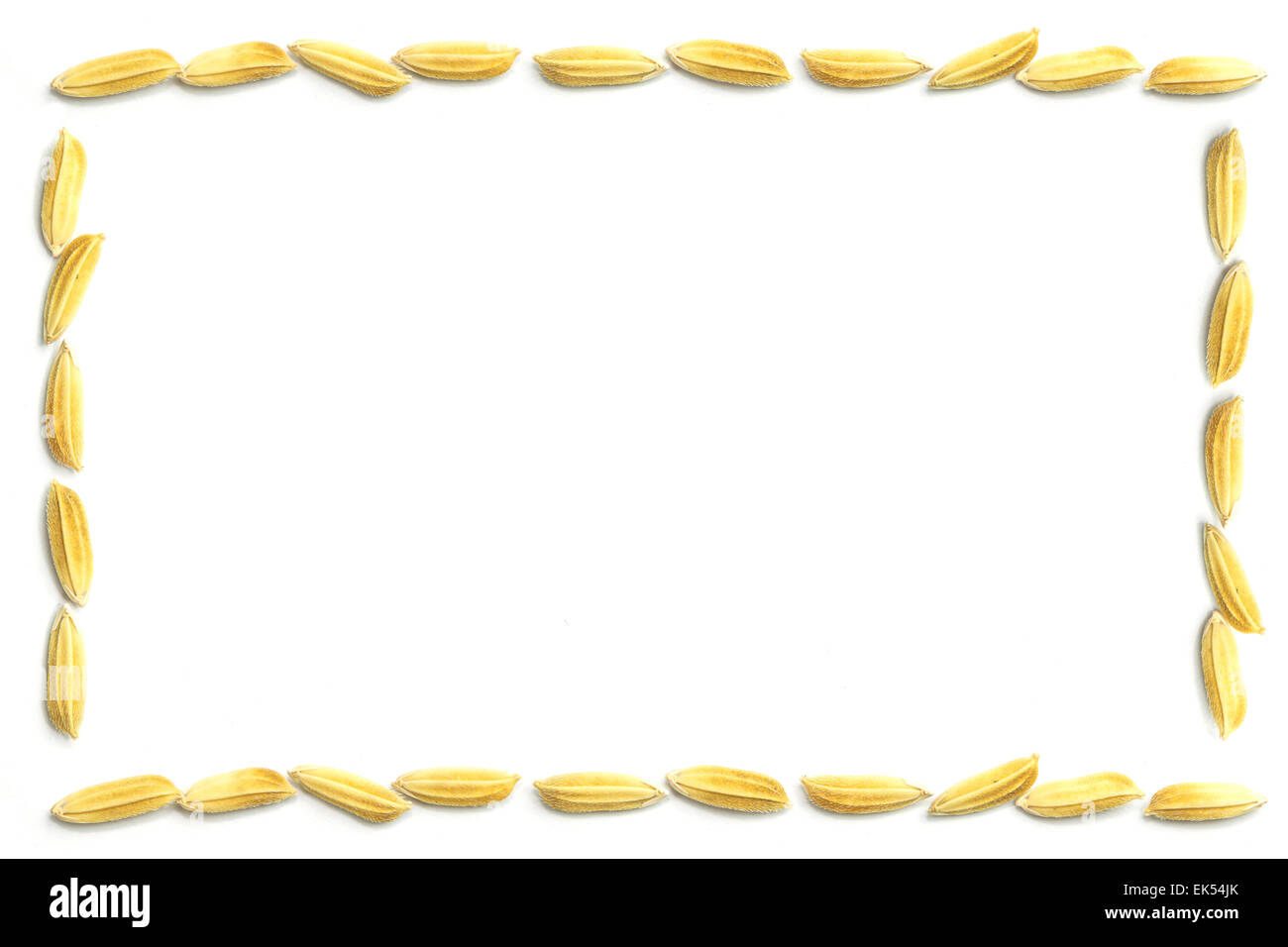 Yellow paddy jasmine rice isolated on white background Stock Photo - Alamy