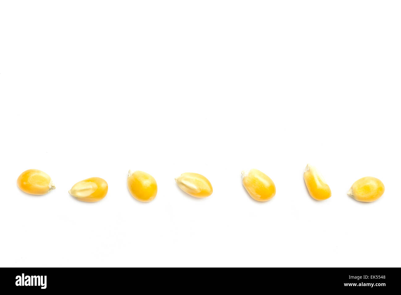 Close up yellow grain corn isolated on white background Stock Photo - Alamy
