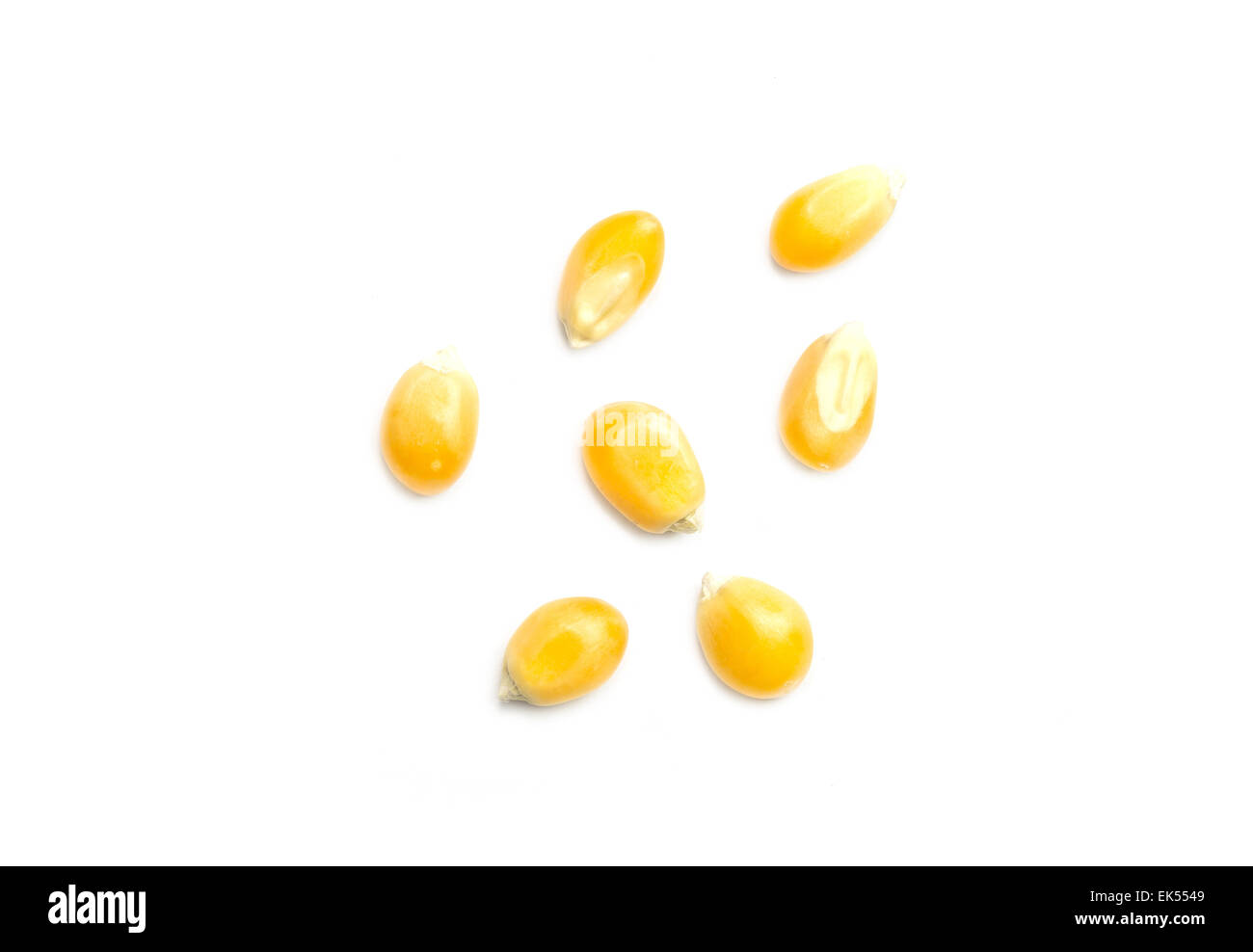 Corn grain texture hi-res stock photography and images - Alamy