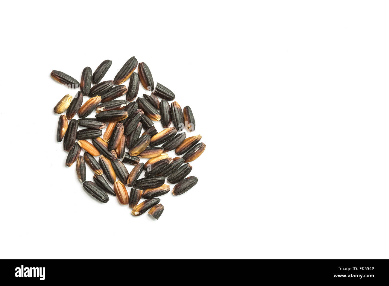 Close up black sticky rice isolated on white background Stock Photo - Alamy