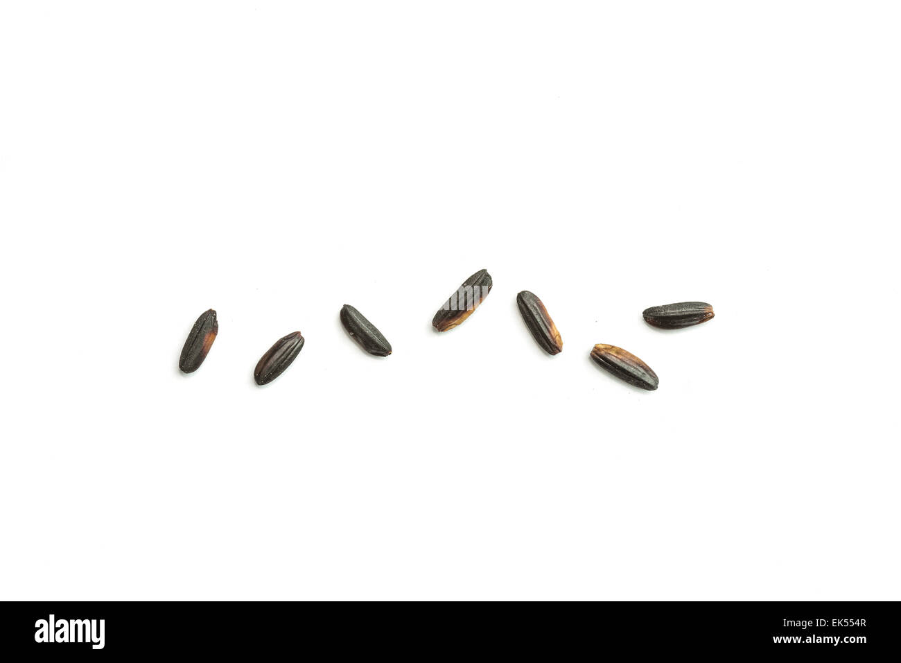Close up black sticky rice isolated on white background Stock Photo - Alamy