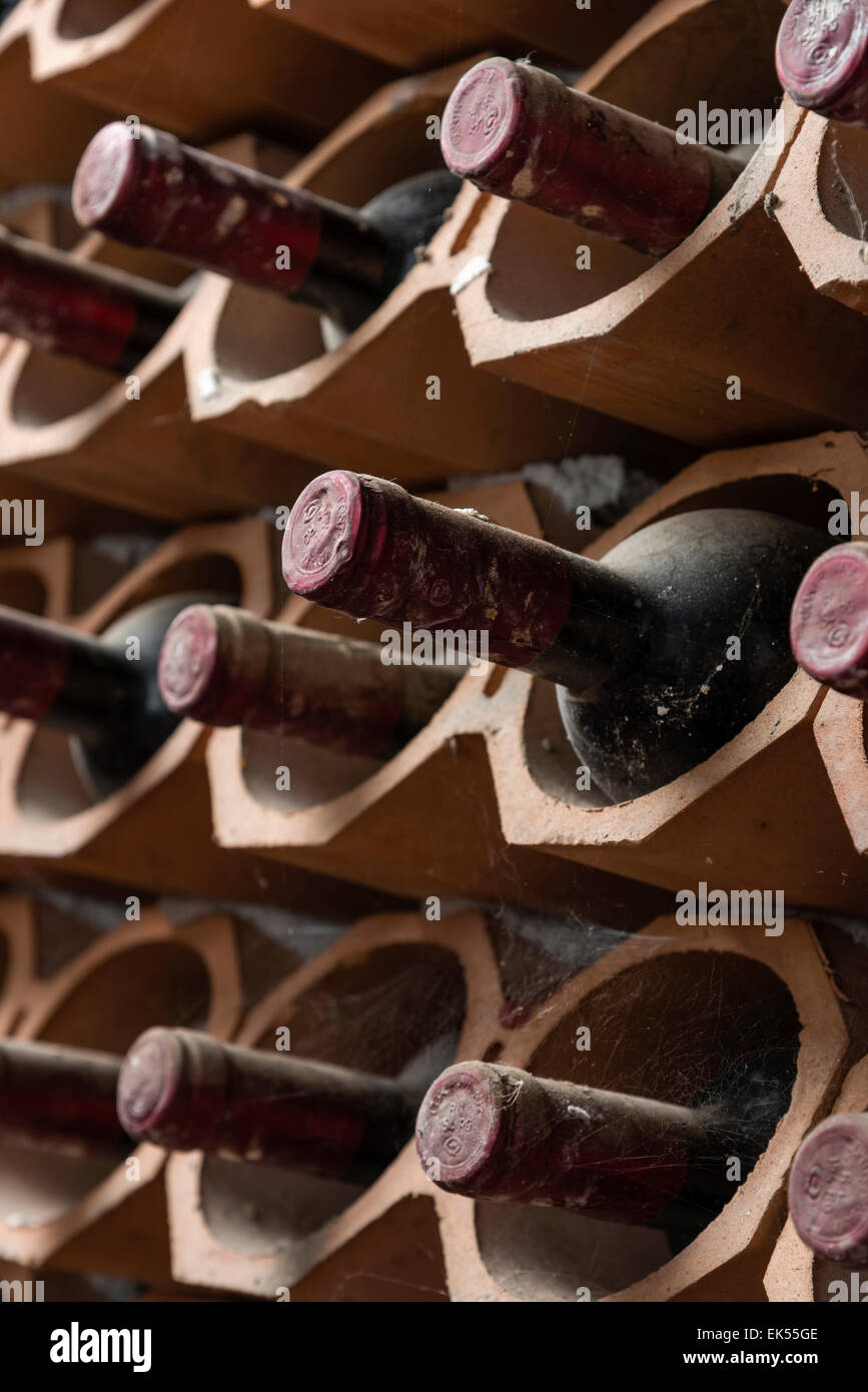 Italy, Sicily, old red wine bottles aging in a wine cellar Stock Photo ...