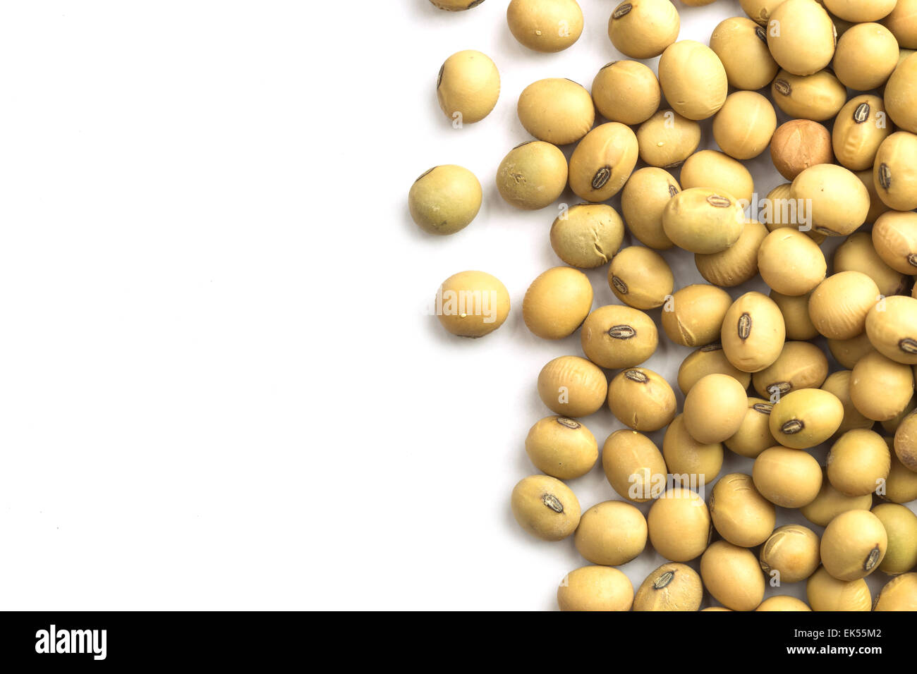 Close up soybeans isolated on white background Stock Photo - Alamy