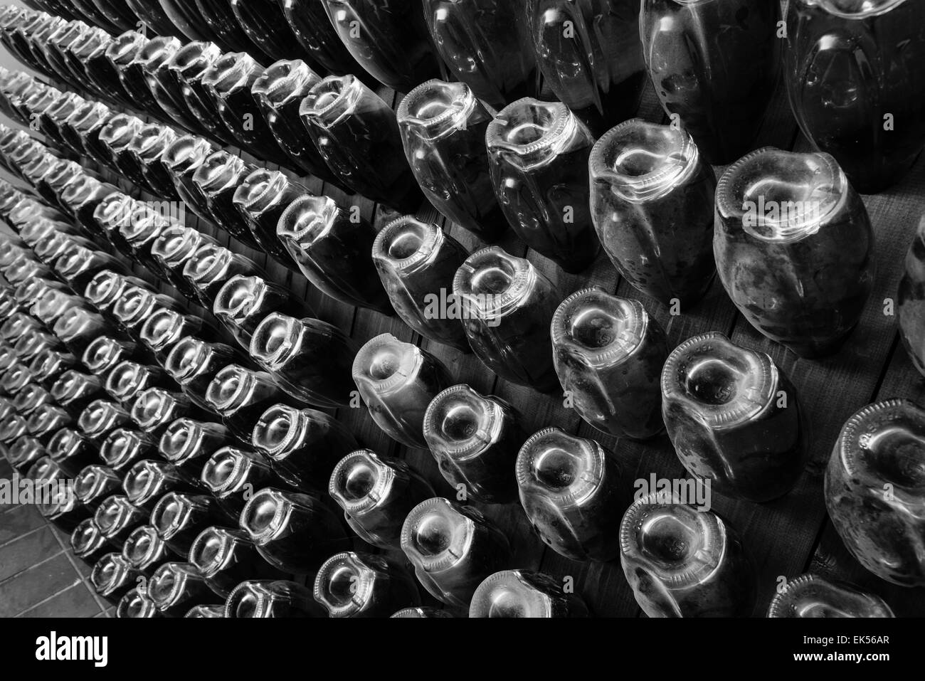 Italy, Sicily, champagne bottles aging in a wine cellar Stock Photo - Alamy