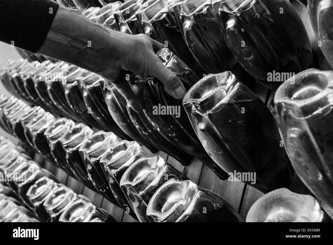 Italy, Sicily, champagne bottles aging in a wine cellar Stock Photo - Alamy