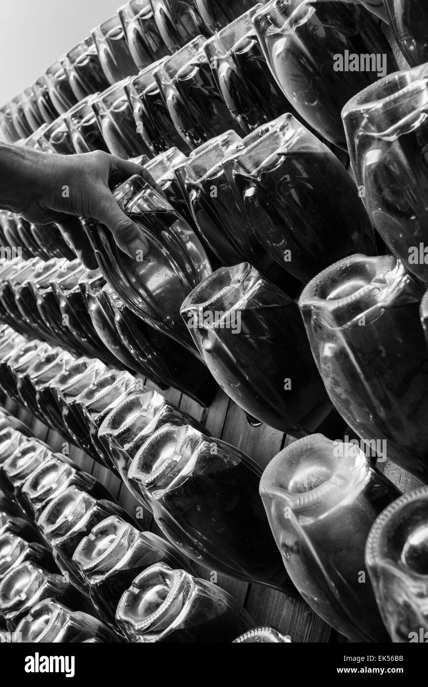 Italy, Sicily, champagne bottles aging in a wine cellar Stock Photo - Alamy