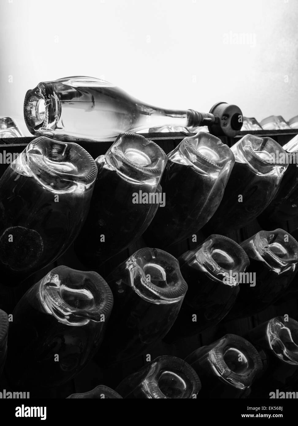 Italy, Sicily, champagne bottles aging in a wine cellar Stock Photo - Alamy