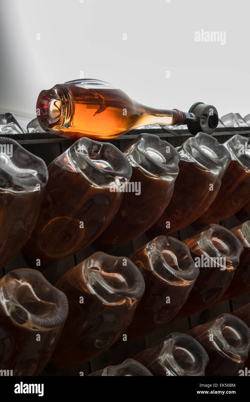 Italy, Sicily, champagne bottles aging in a wine cellar Stock Photo - Alamy
