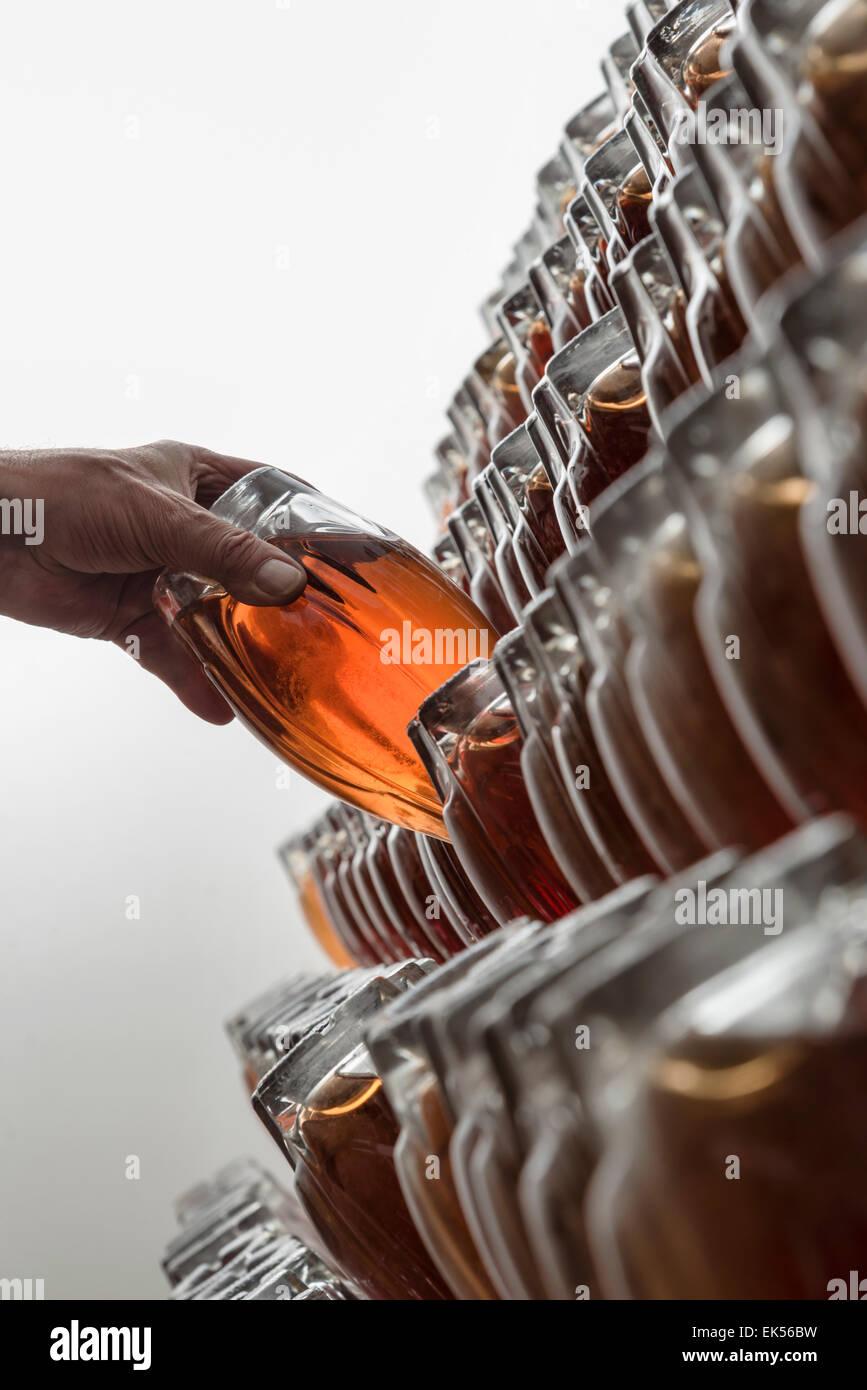 Italy, Sicily, champagne bottles aging in a wine cellar Stock Photo - Alamy