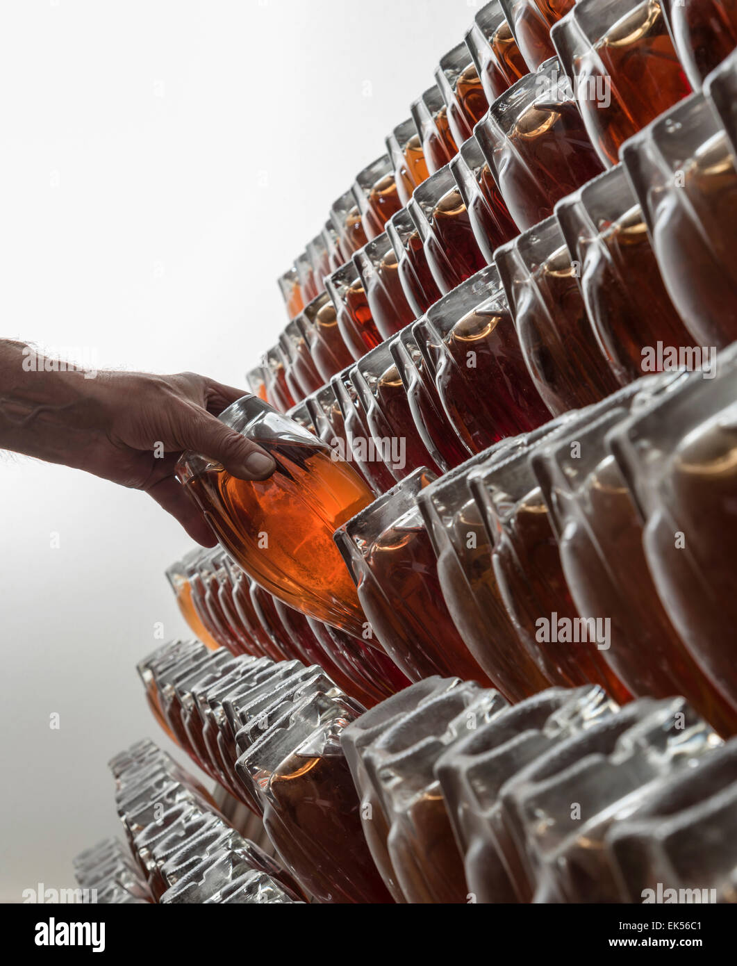 Italy, Sicily, champagne bottles aging in a wine cellar Stock Photo - Alamy