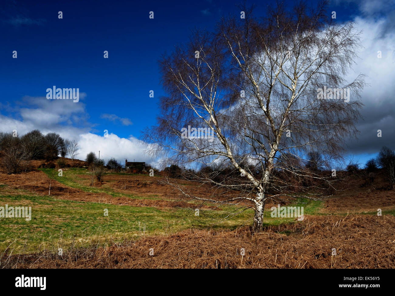Bringsty common hi-res stock photography and images - Alamy