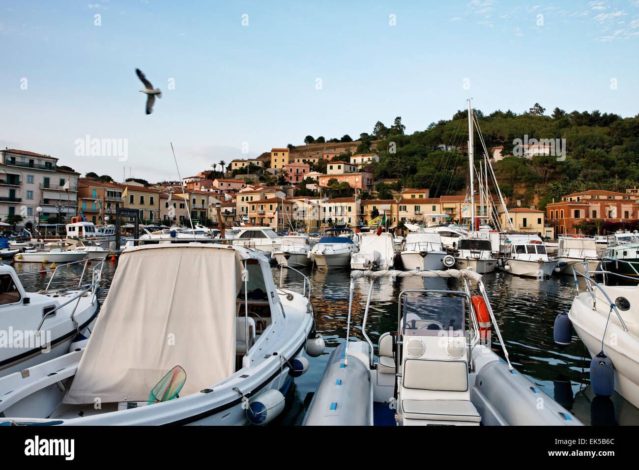 Italy, Tuscany, Elba Island, view of Porto Azzurro port Stock Photo - Alamy