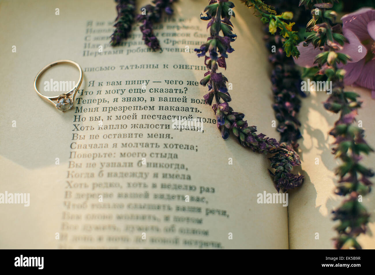 engagement ring proposal in the book with pamphlets and lavander Stock ...