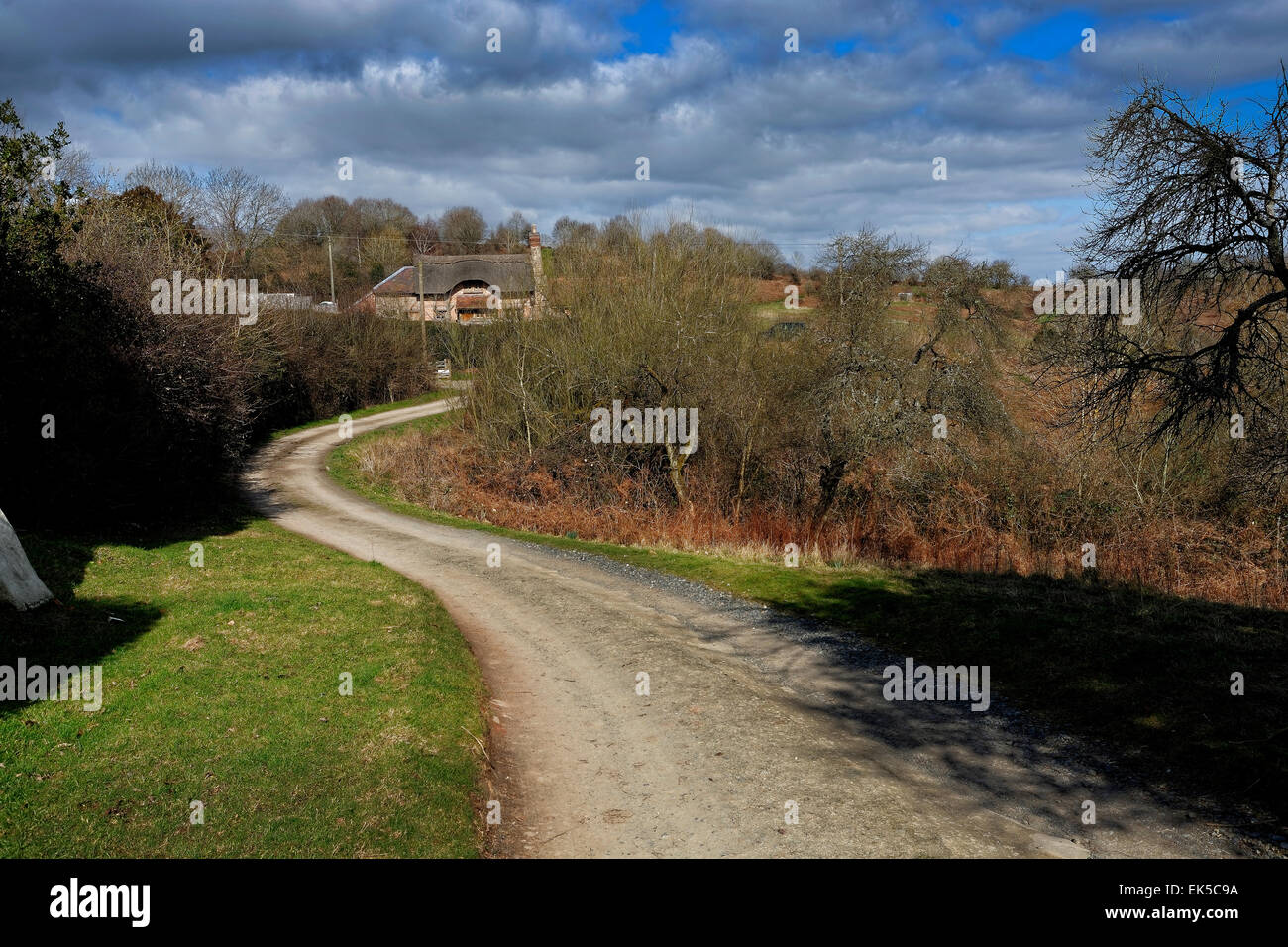 Bringsty Common is accessible land near Bromyard, Herefordshire, UK ...