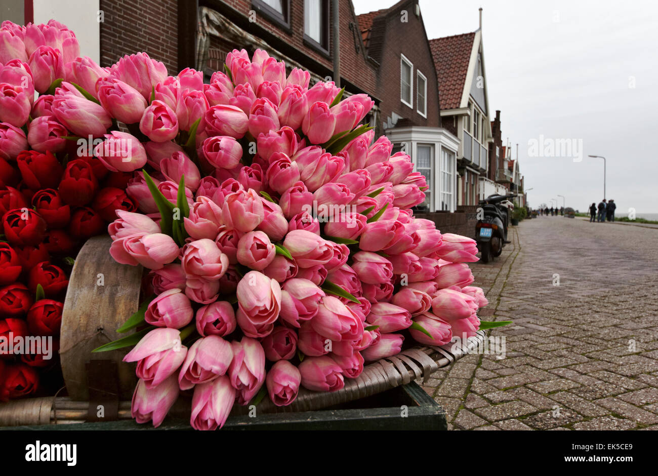 Holland, Volendam village (Amsterdam), fake tulips for sale Stock Photo ...