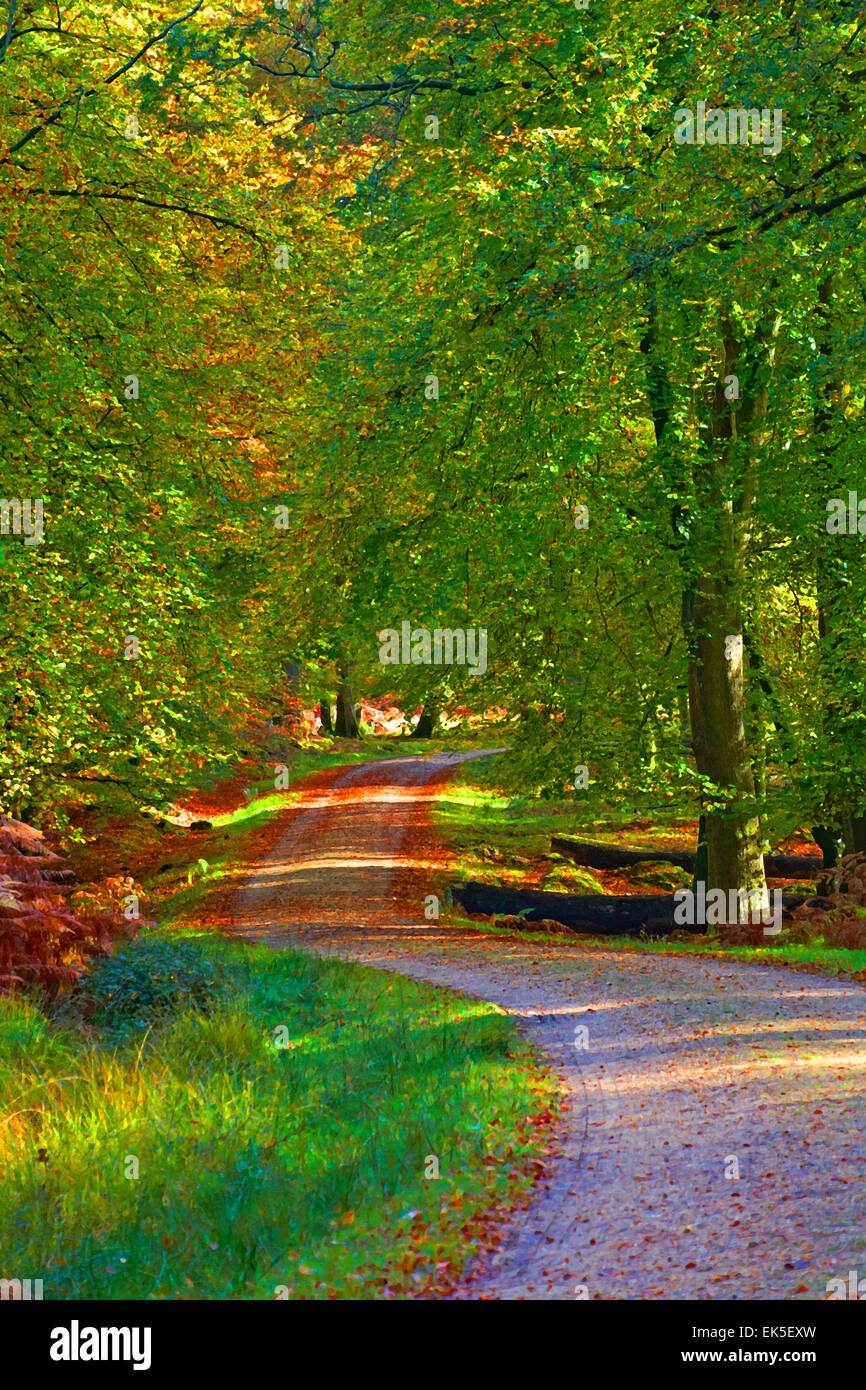 Artistic pathway hi-res stock photography and images - Alamy