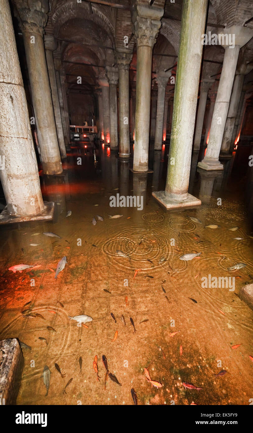 Turkey, Istanbul, The underground Basilica Cistern, built by ...