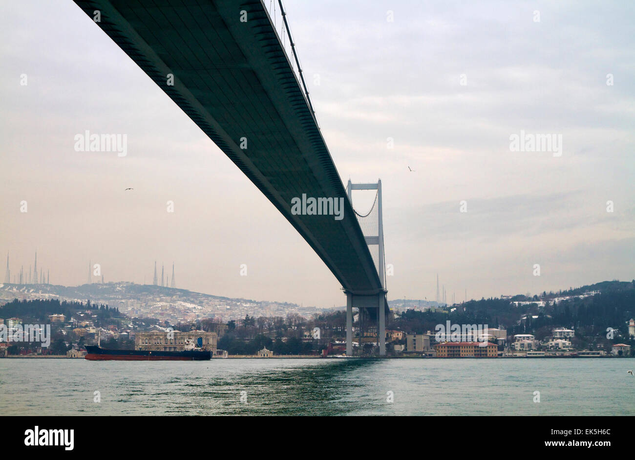 Turkey, Istanbul, Bosphorus Channel, Bosphorus Bridge, an oil cargo ...