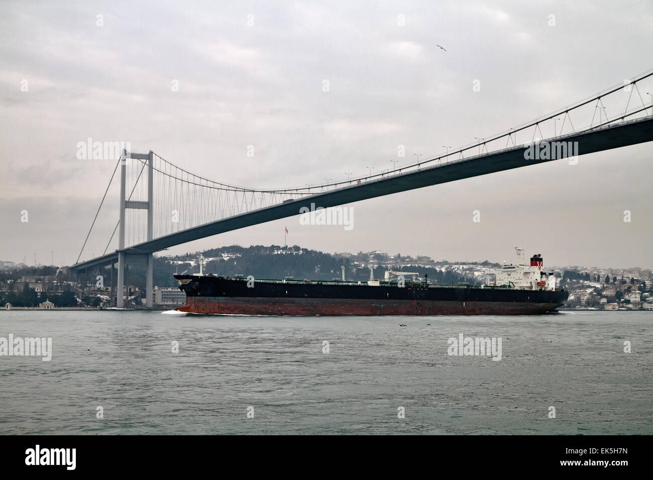 Turkey, Istanbul, Bosphorus Channel, Bosphorus Bridge, an oil cargo ...