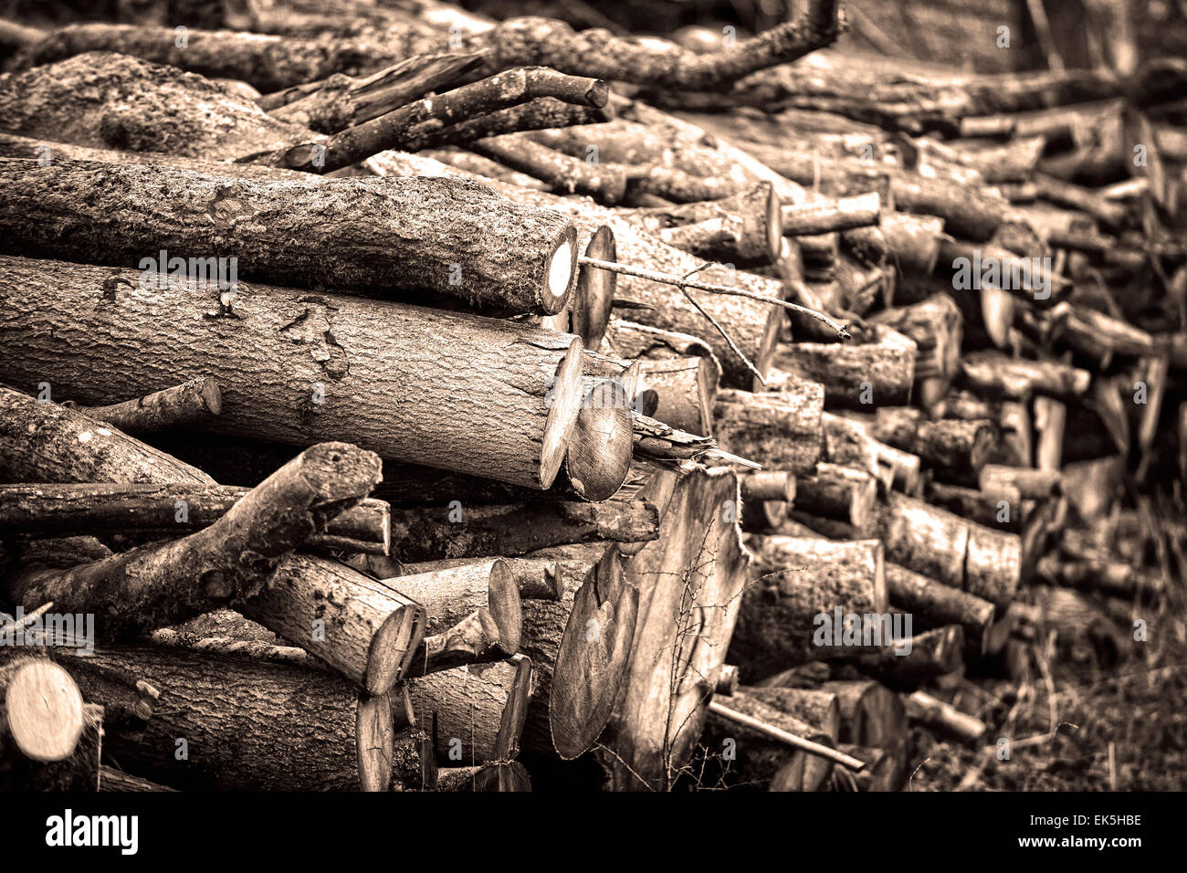 Log pile, stack Stock Photo - Alamy