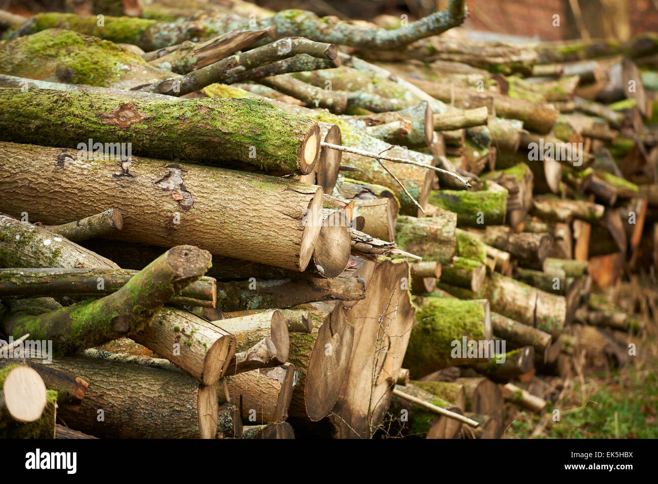 Log pile, stack Stock Photo - Alamy