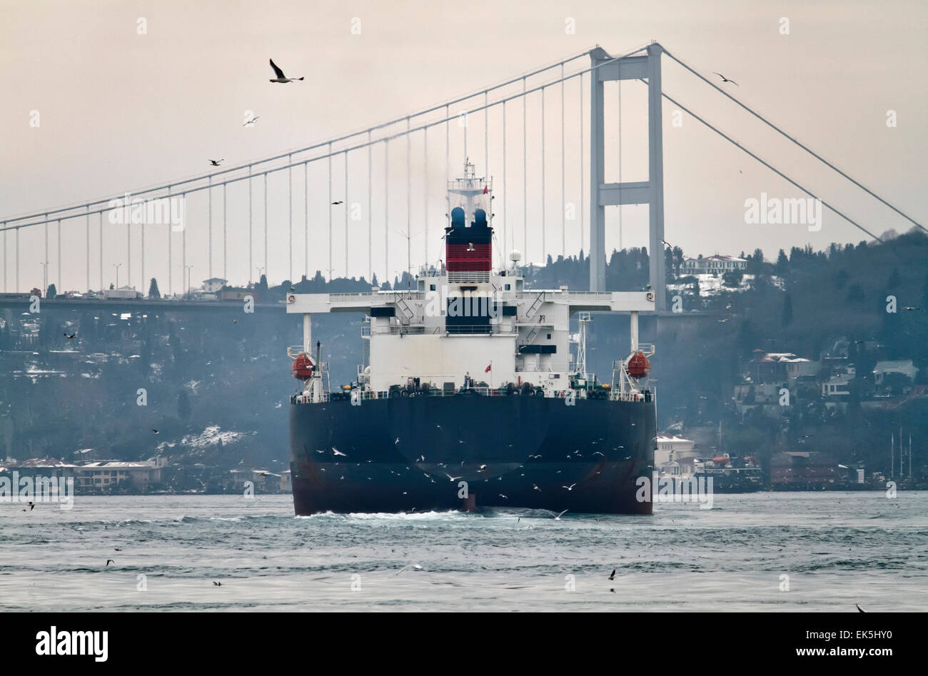 Turkey, Istanbul, Bosphorus Channel, Bosphorus Bridge, an oil cargo ...
