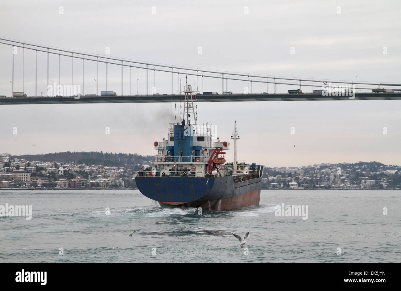 Turkey, Istanbul, Bosphorus Channel, Bosphorus Bridge, a cargo ship on ...