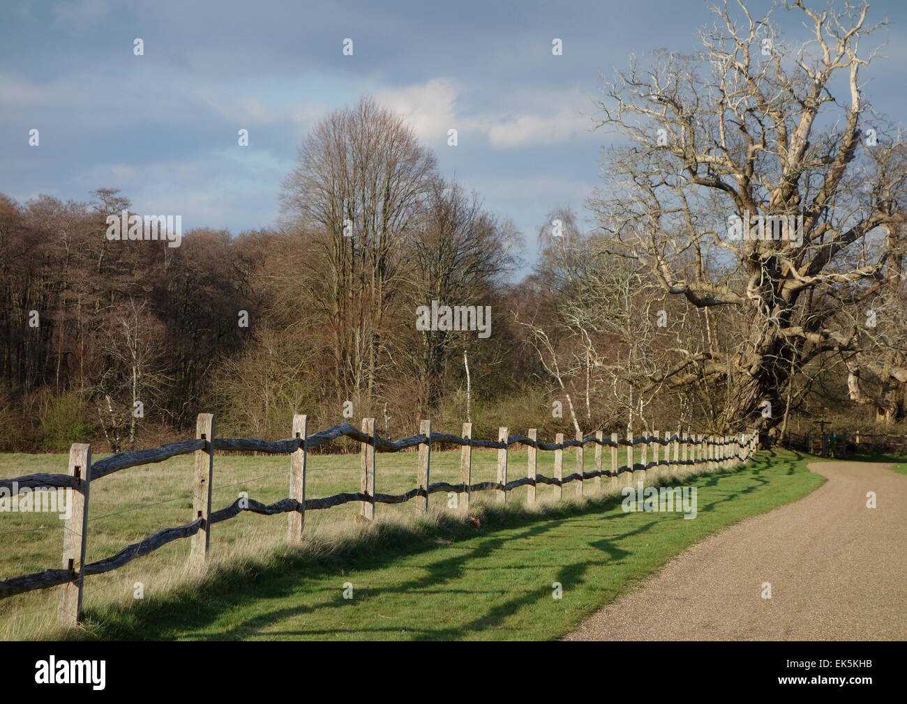 Chestnut paling fence hi-res stock photography and images - Alamy