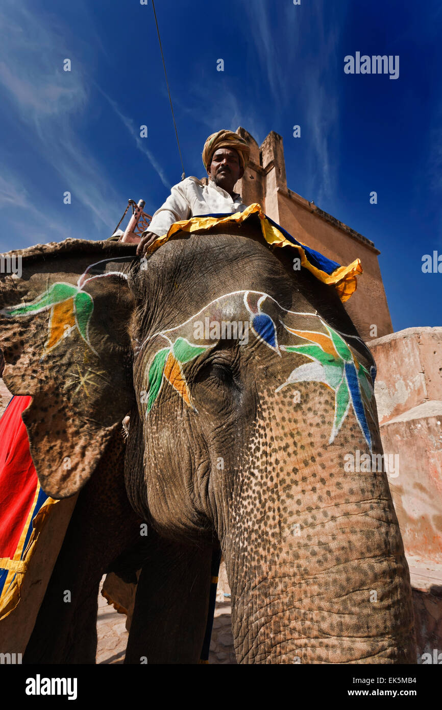 India, Rajasthan, Jaipur, the Amber Fort, elephant driver Stock Photo ...