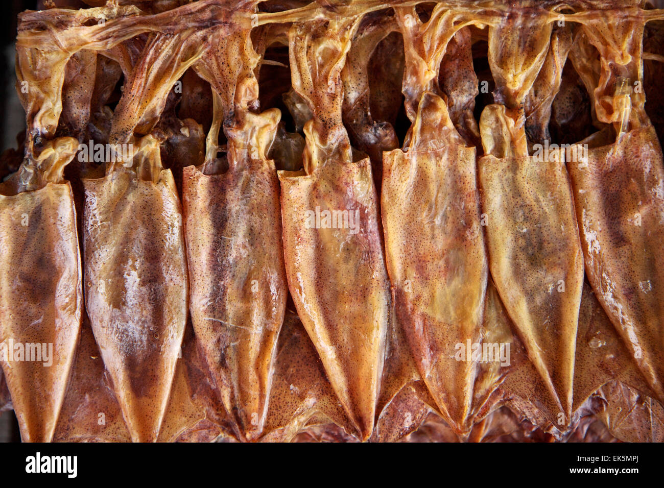 Thailand, Bangkok, dry cuttlefish for sale in a local market Stock ...