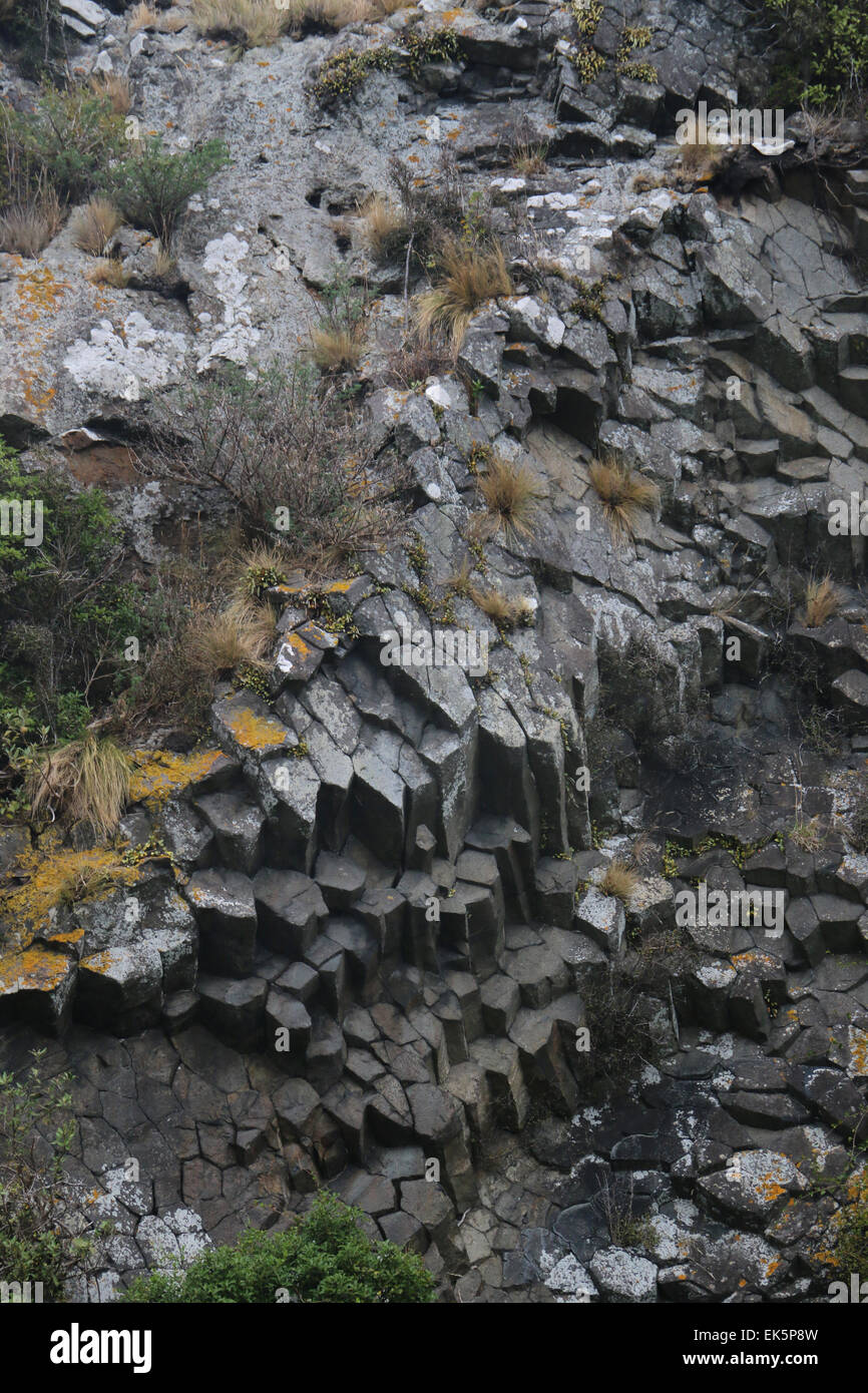 columnar basalt The Pyramids Lava rock formations Otago Peninsula ...