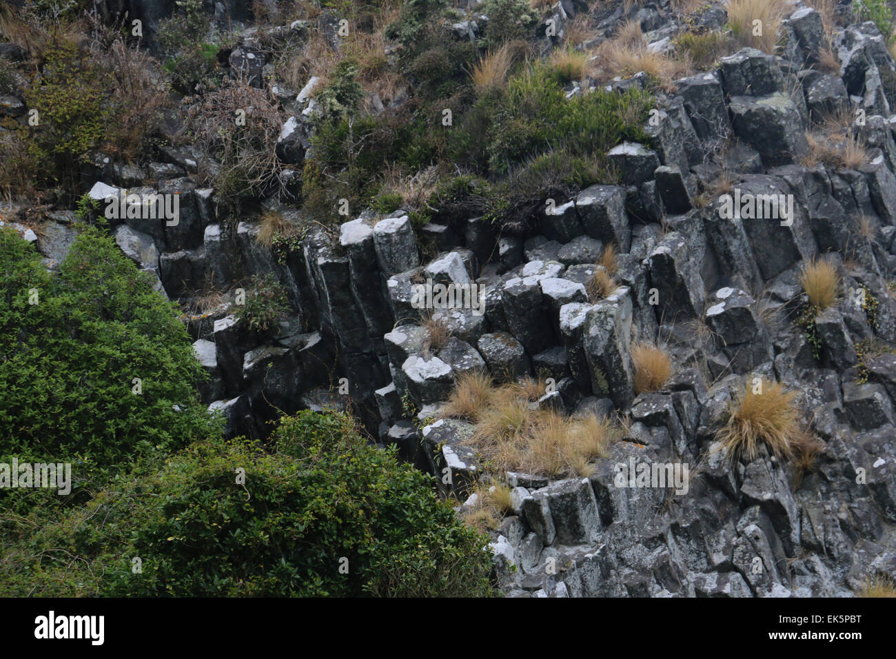 columnar basalt The Pyramids Lava rock formations Otago Peninsula ...
