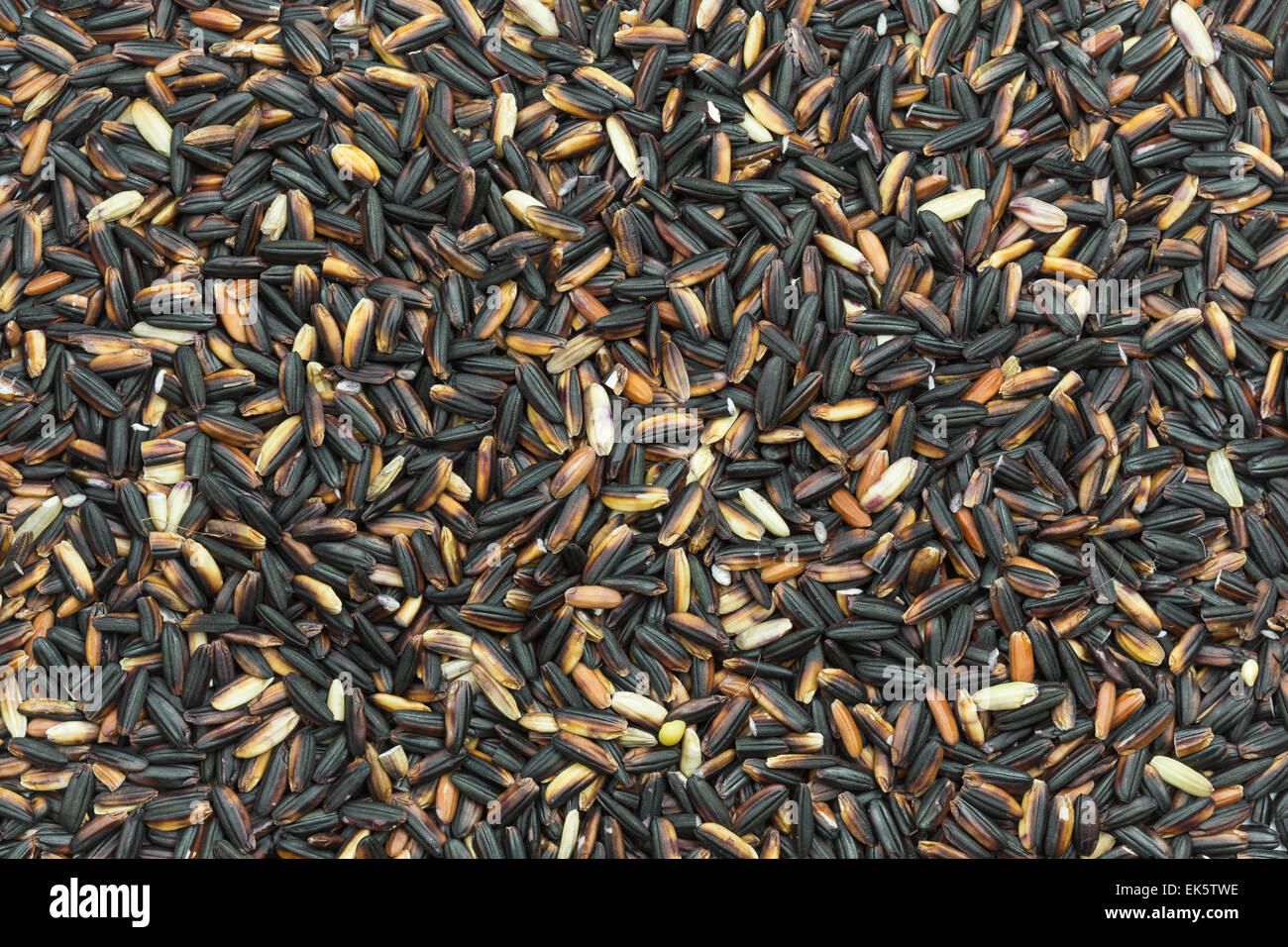 Close up black sticky rice isolated on white background Stock Photo - Alamy