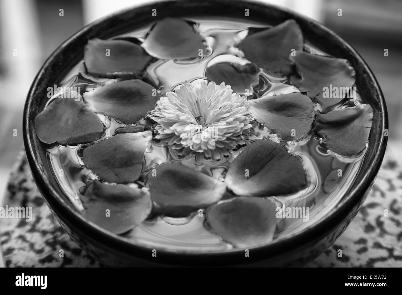 India, Rajasthan, Jaipur, rose petals in a bowl full of water Stock ...