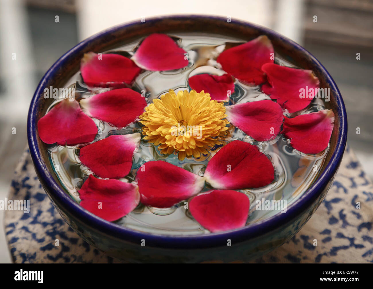 India, Rajasthan, Jaipur, rose petals in a bowl full of water Stock ...