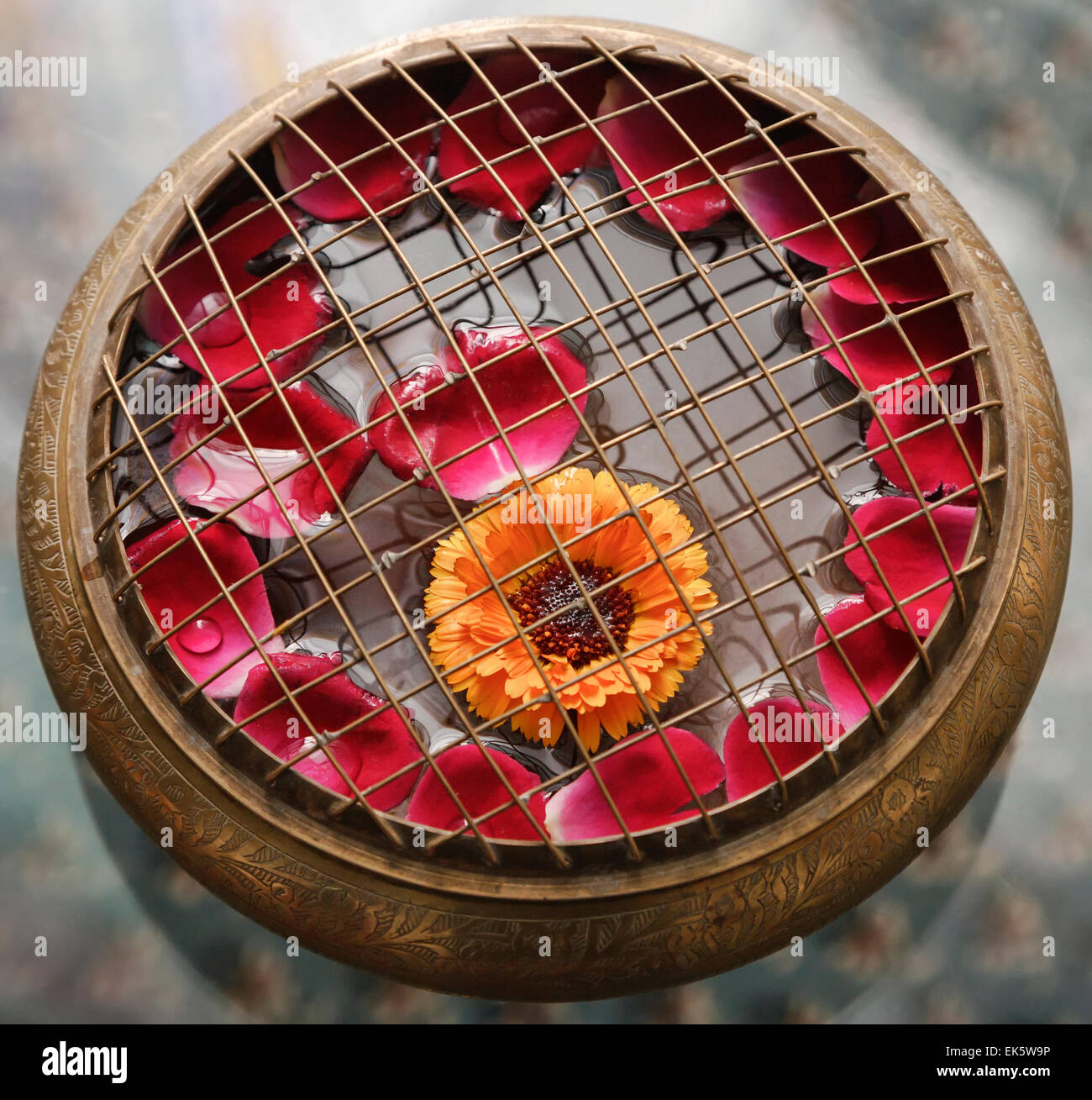 India, Rajasthan, Jaipur, rose petals in a bowl full of water Stock ...