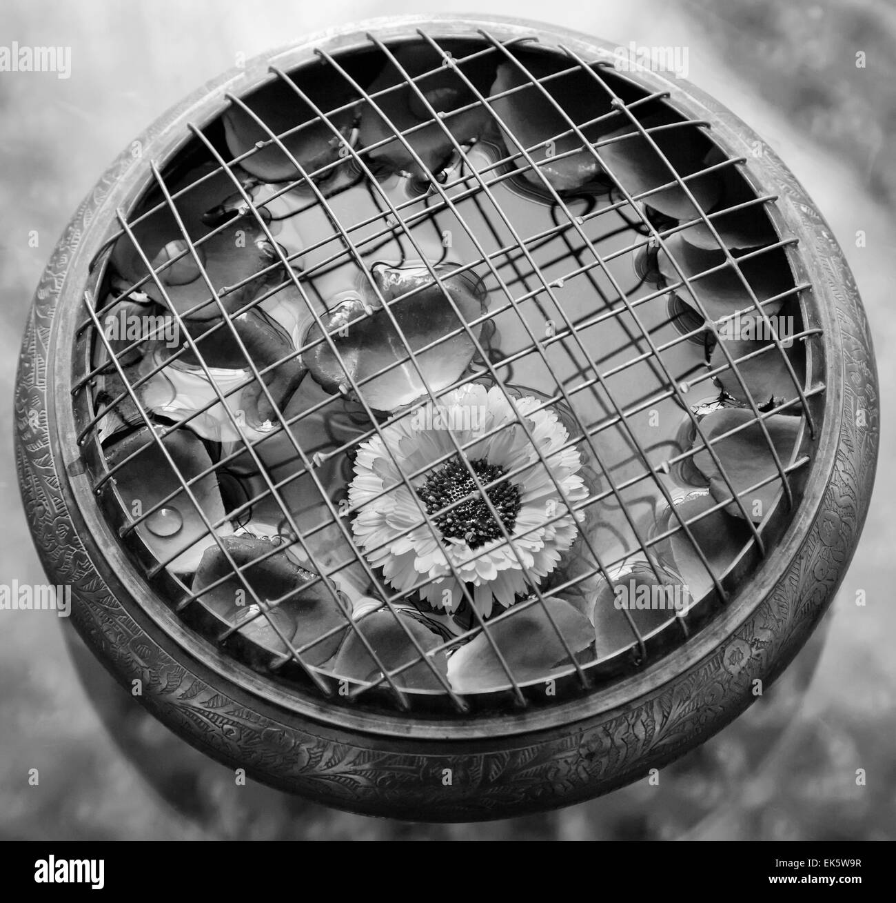 India, Rajasthan, Jaipur, rose petals in a bowl full of water Stock ...