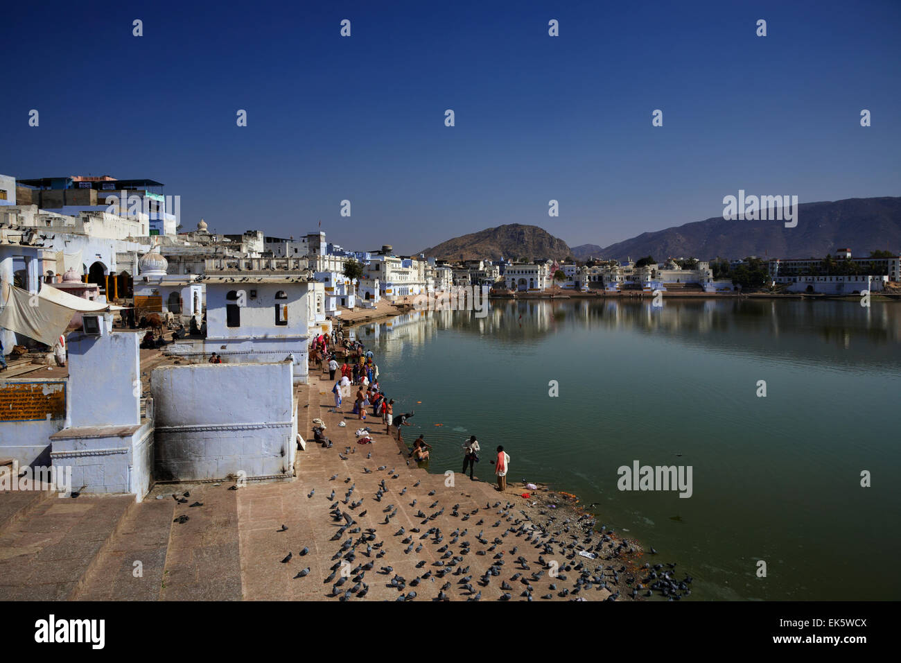 India, Rajasthan, Pushkar, indian pilgrims take a bath in the sacred ...