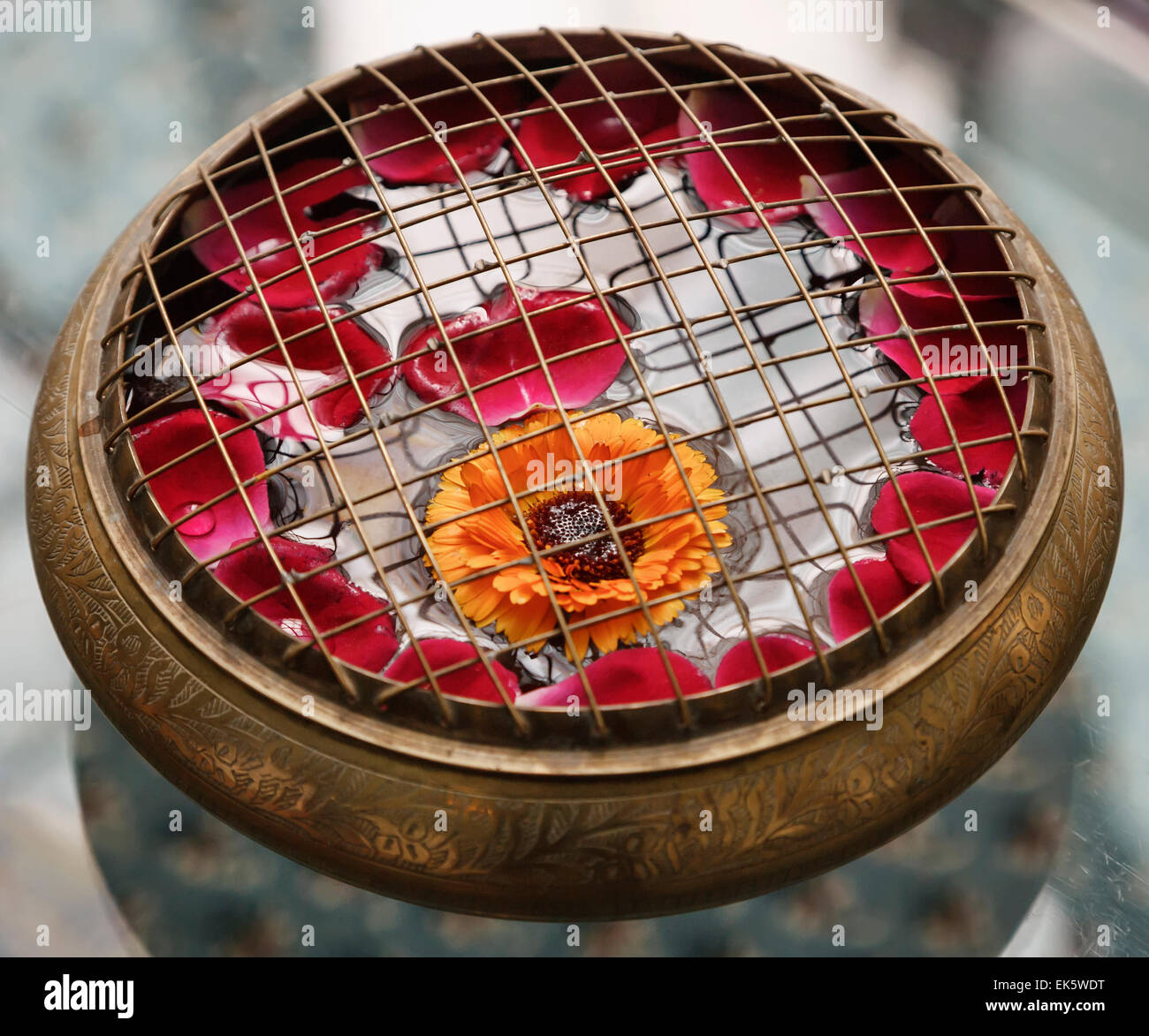 India, Rajasthan, Jaipur, rose petals in a bowl full of water Stock ...